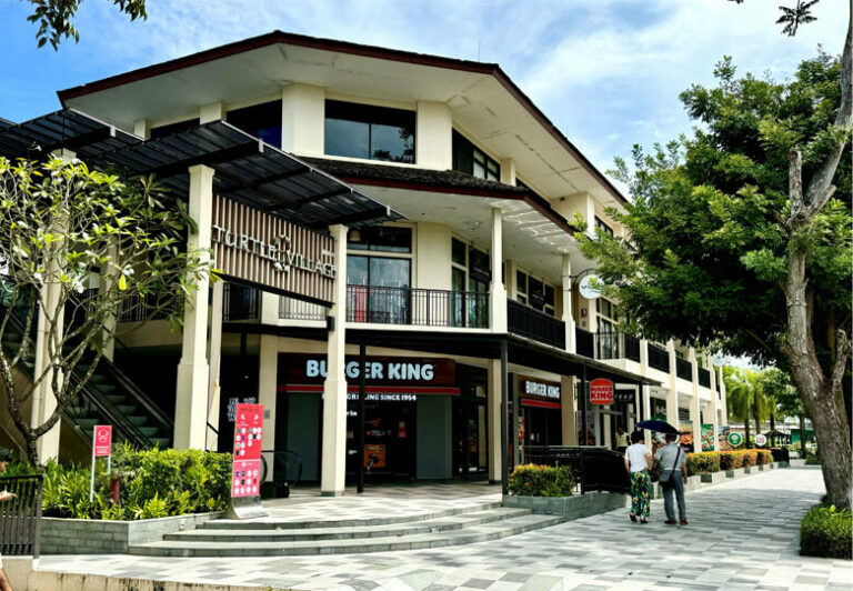 Turtle Village
